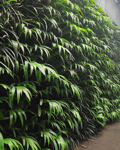 green garden – Sky Tech